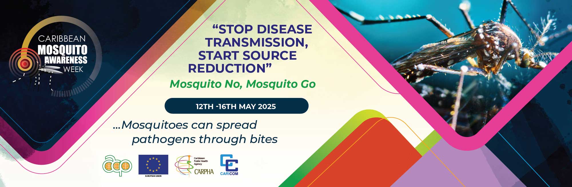 Caribbean Mosquito Awareness Week 2025 Launches Amid Rising Mosquito-borne Disease Cases ...